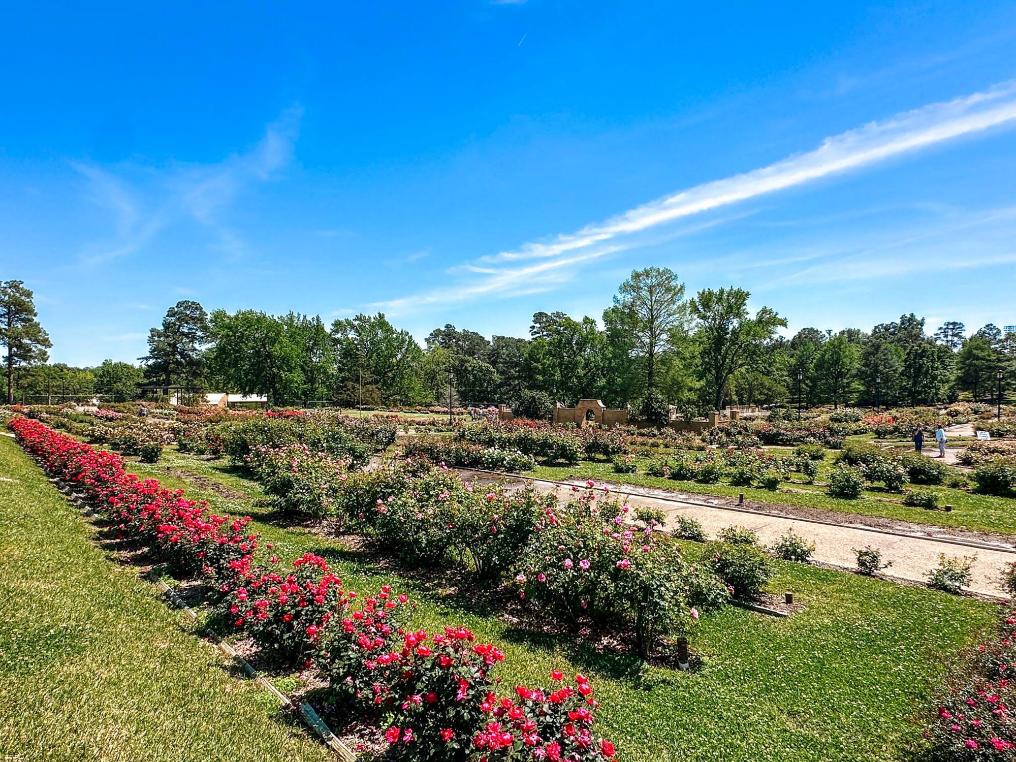 Tyler Municipal Rose Garden