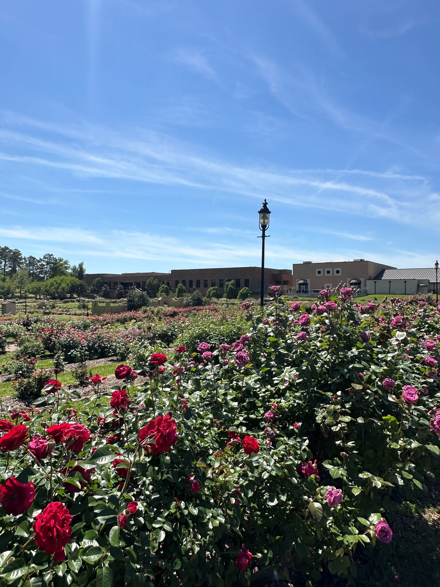 Tyler Municipal Rose Garden