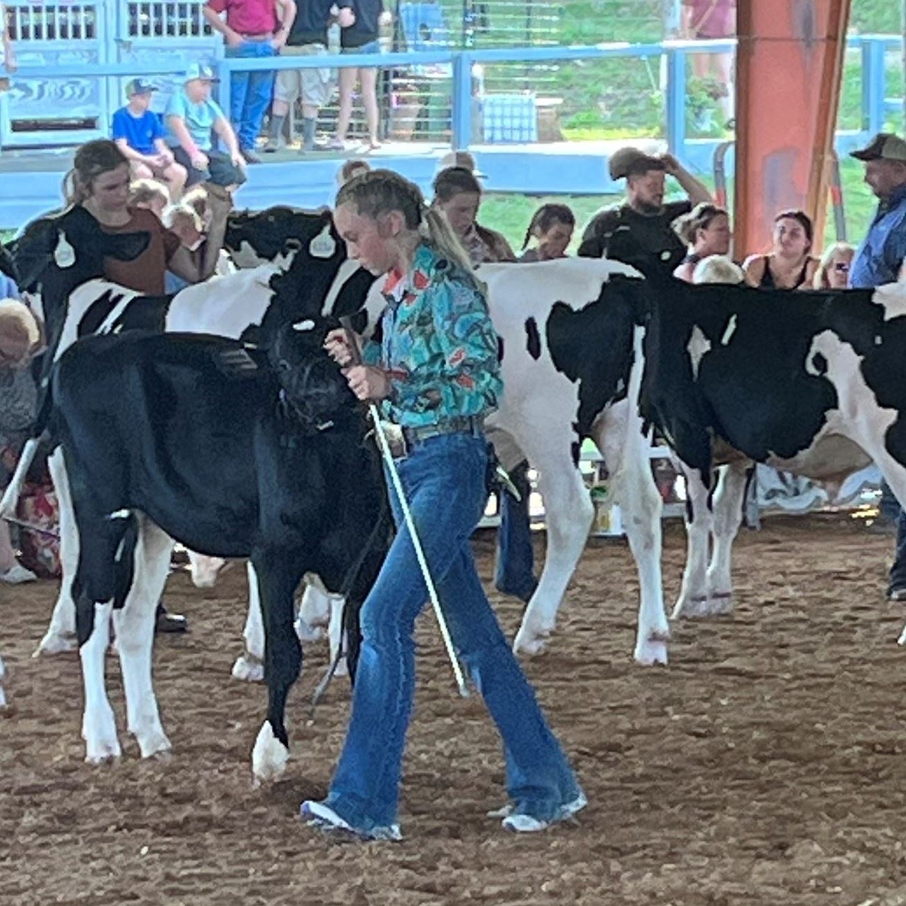 Bedford Fair Premium Guide