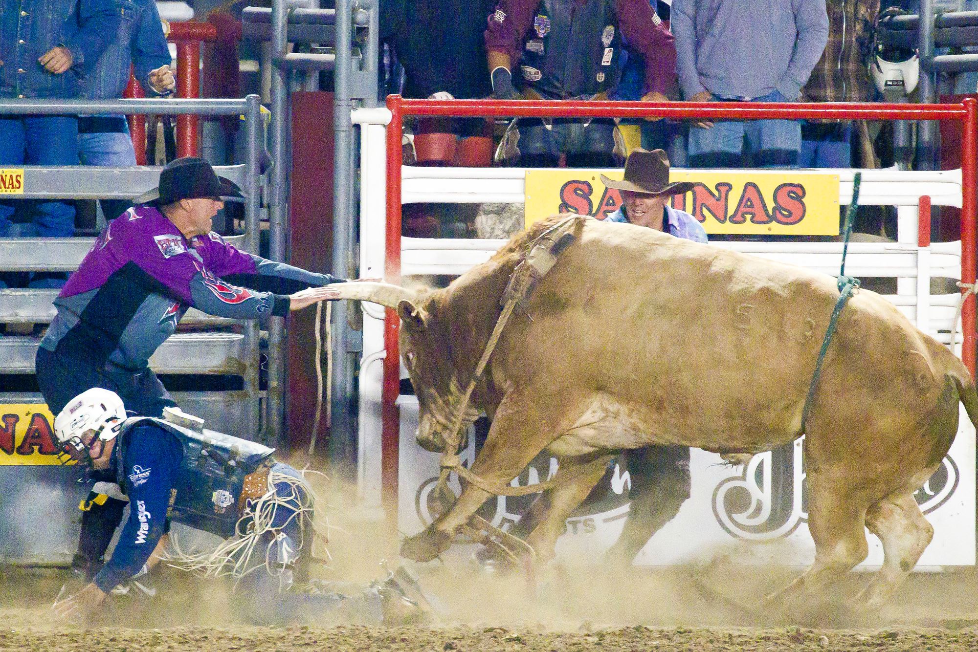 2021 Hall of Fame Inductee Photos & Bios