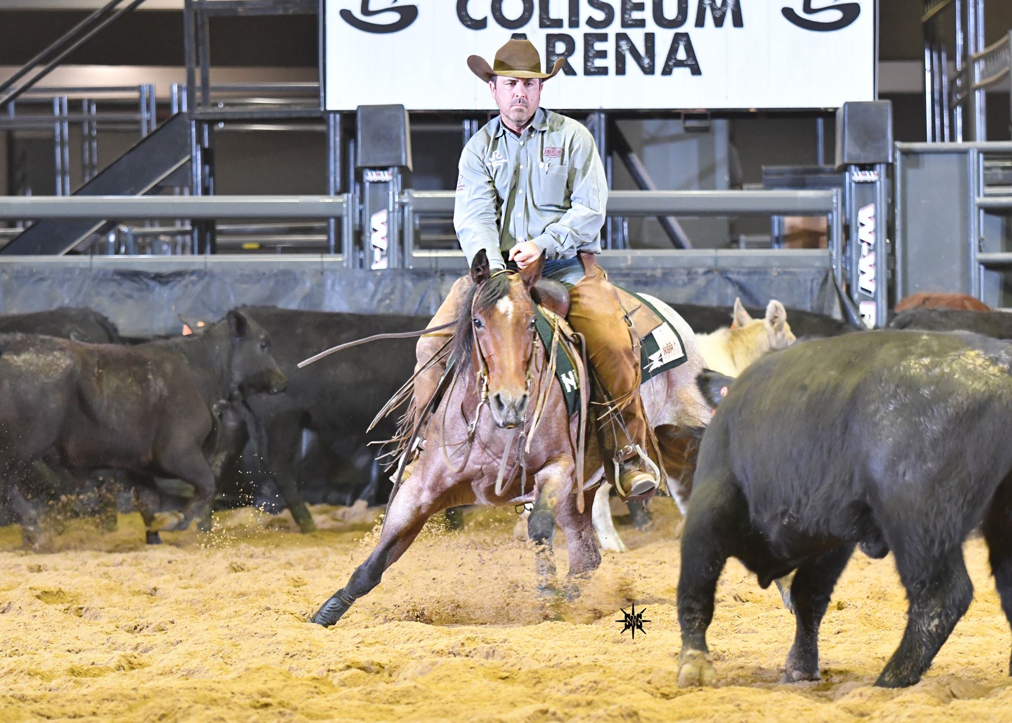 NCHA Cutting Show