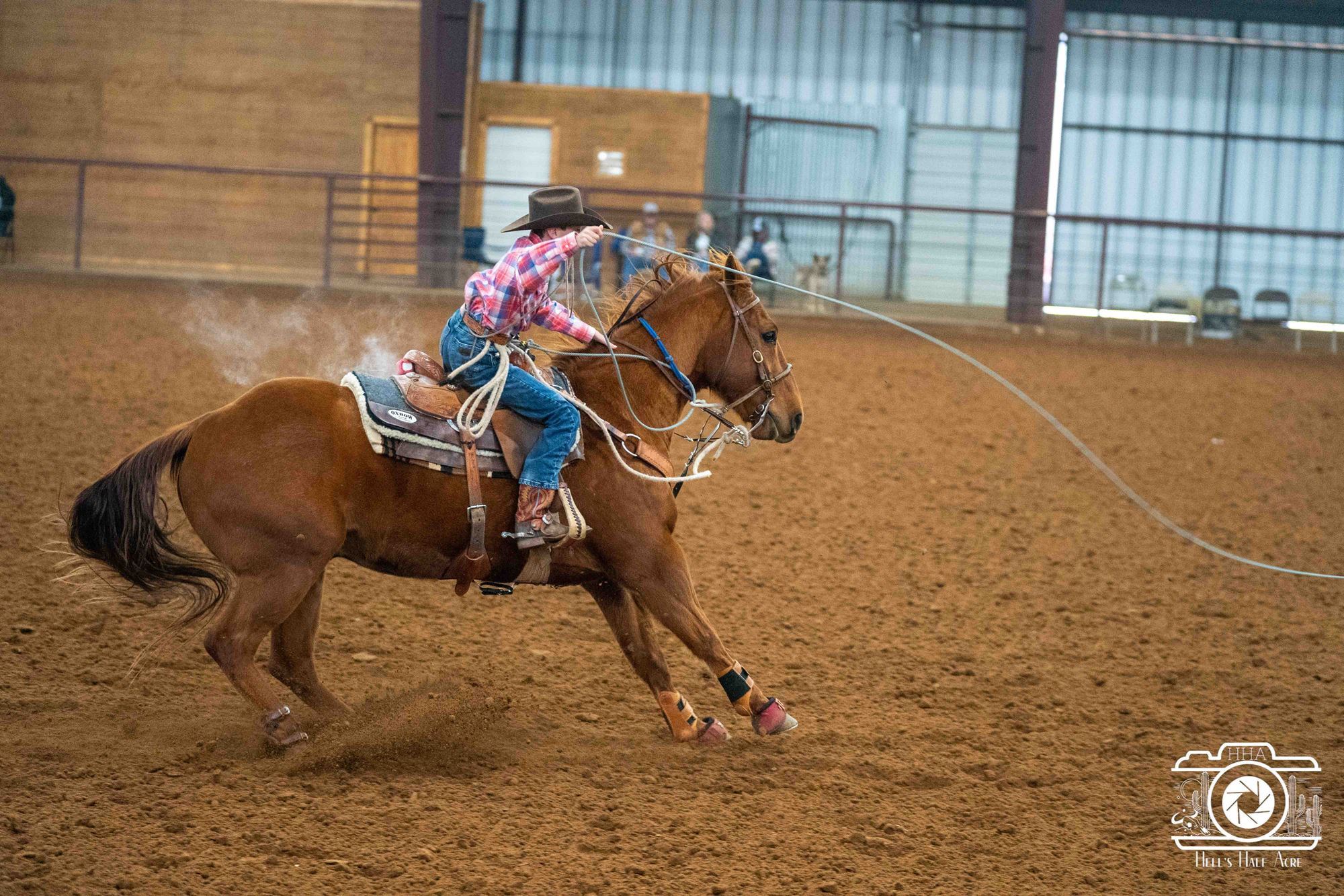 Classic Equine 'Horse of the Year'