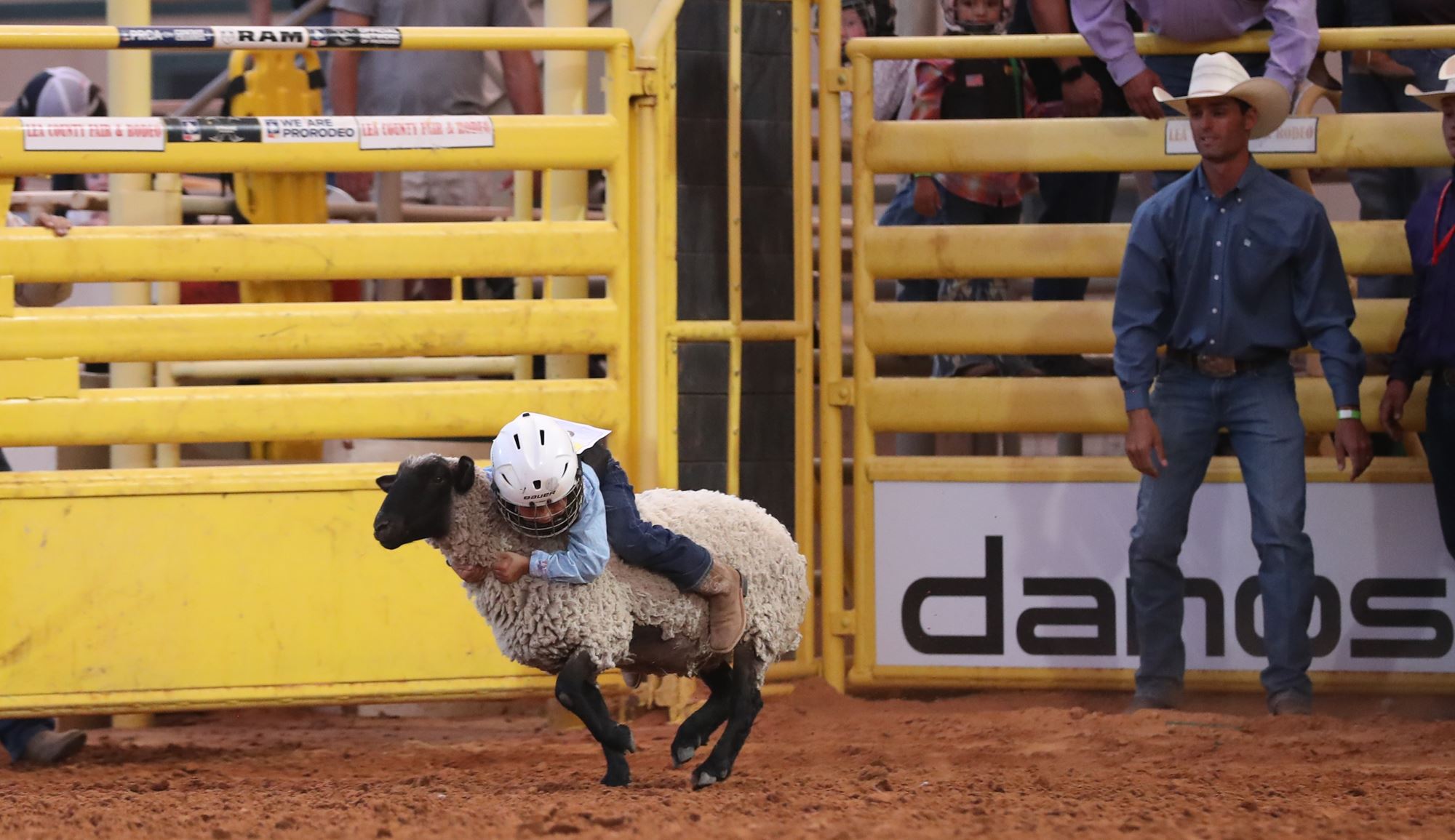 Mutton Bustin'