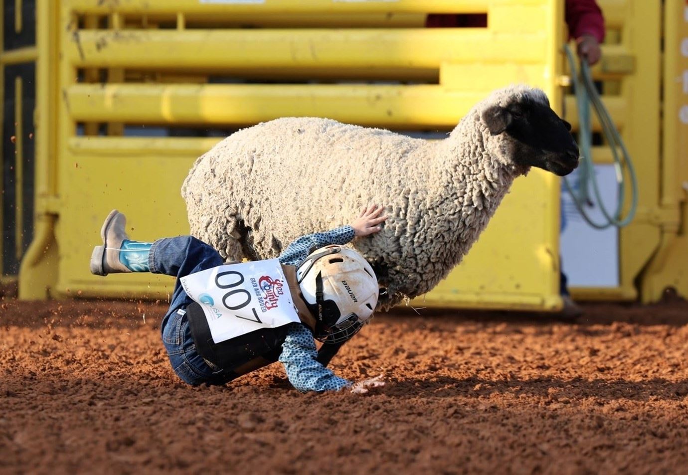 Mutton Bustin'