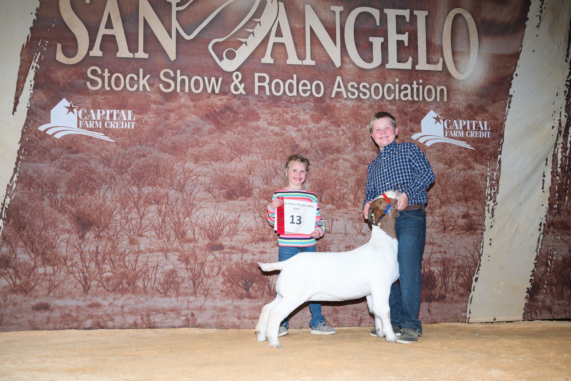 Texas STARS Wether Doe Sale