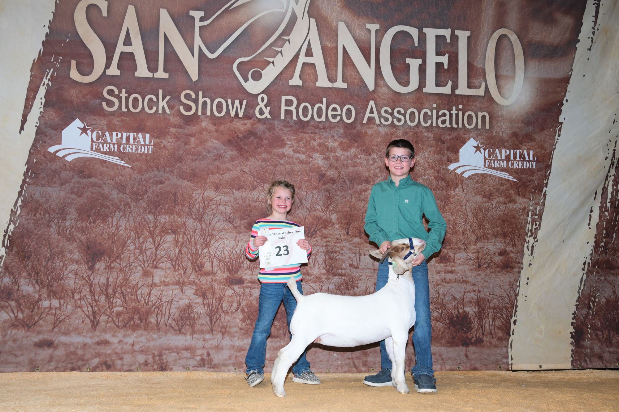 Texas STARS Wether Doe Sale