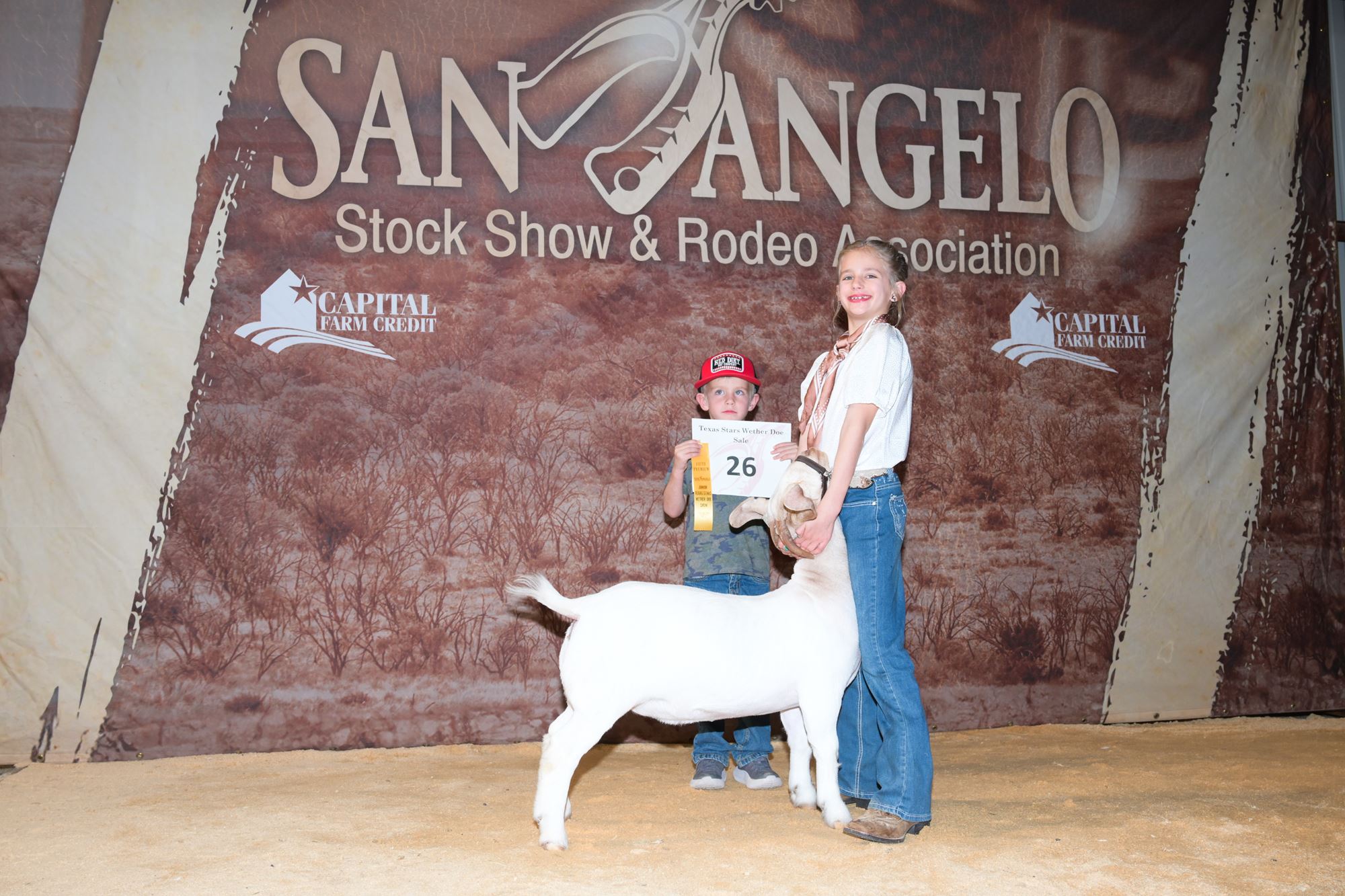 Texas STARS Wether Doe Sale