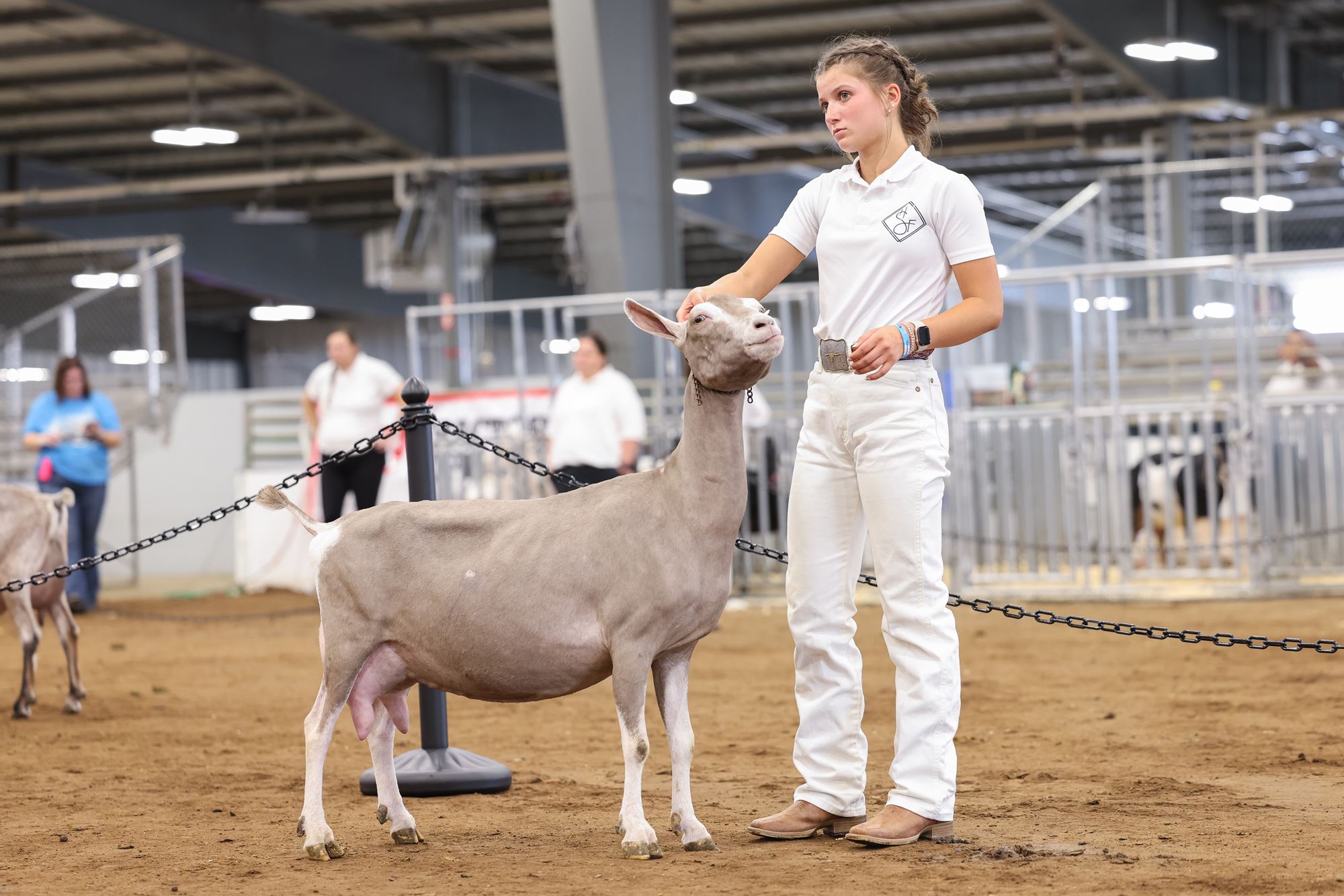 ADGA- Dairy Goat Show