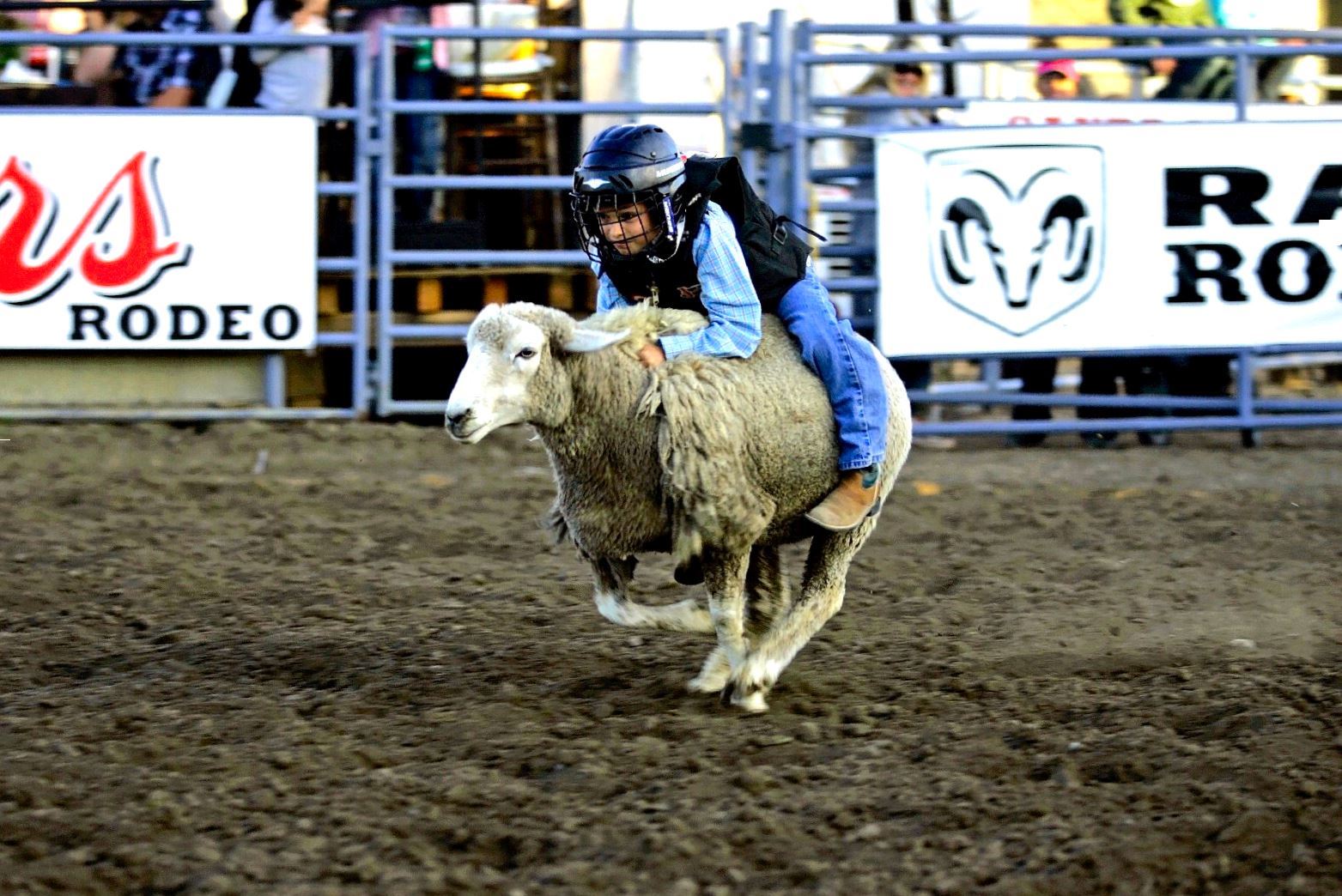 Santa Maria Elks Rodeo & Parade