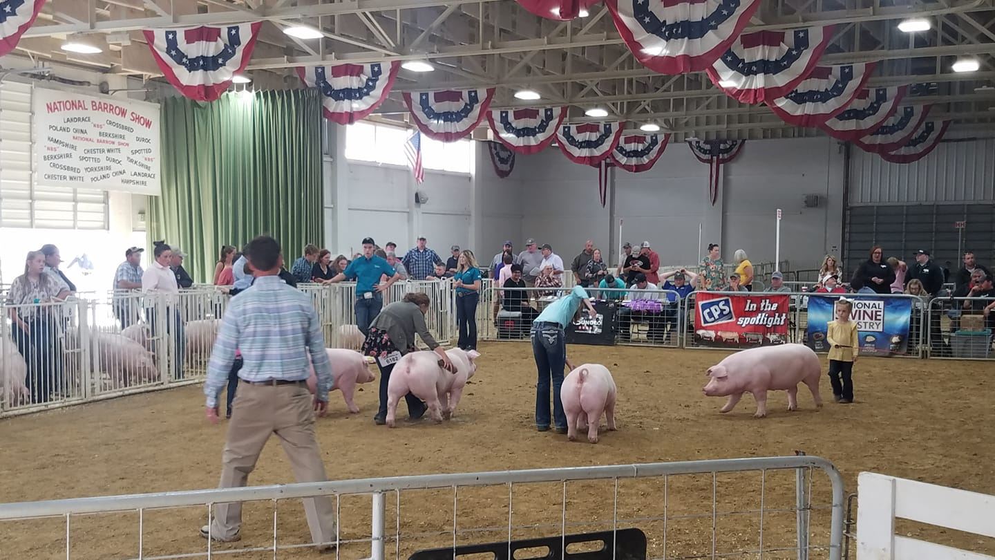 National Barrow Show