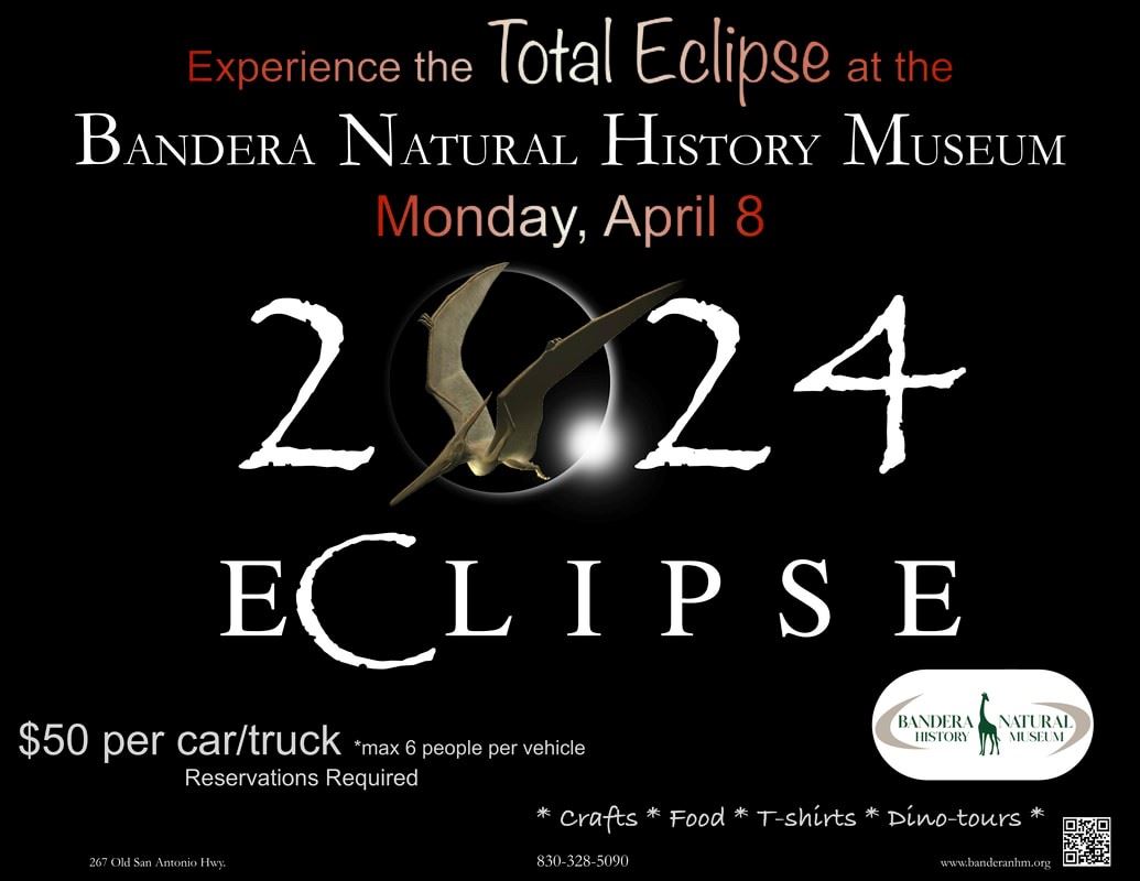 Natural History Museum 2024 Eclipse
