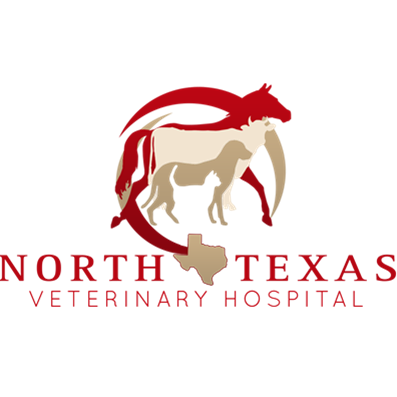 North Texas Veterinary Hospital