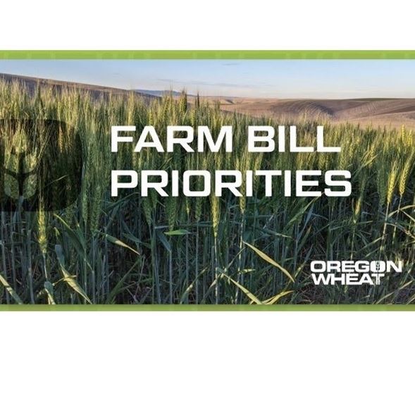 Farm Bill