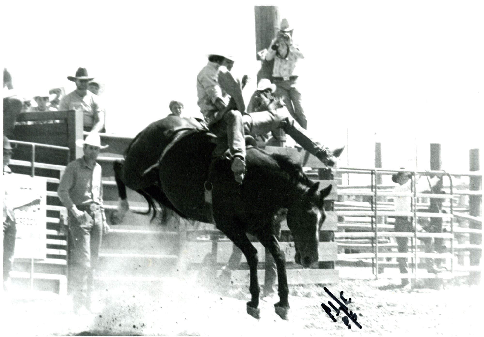 Coastal Farm & Ranch NPRA Rodeo presented by Cascade Lakes Design Group