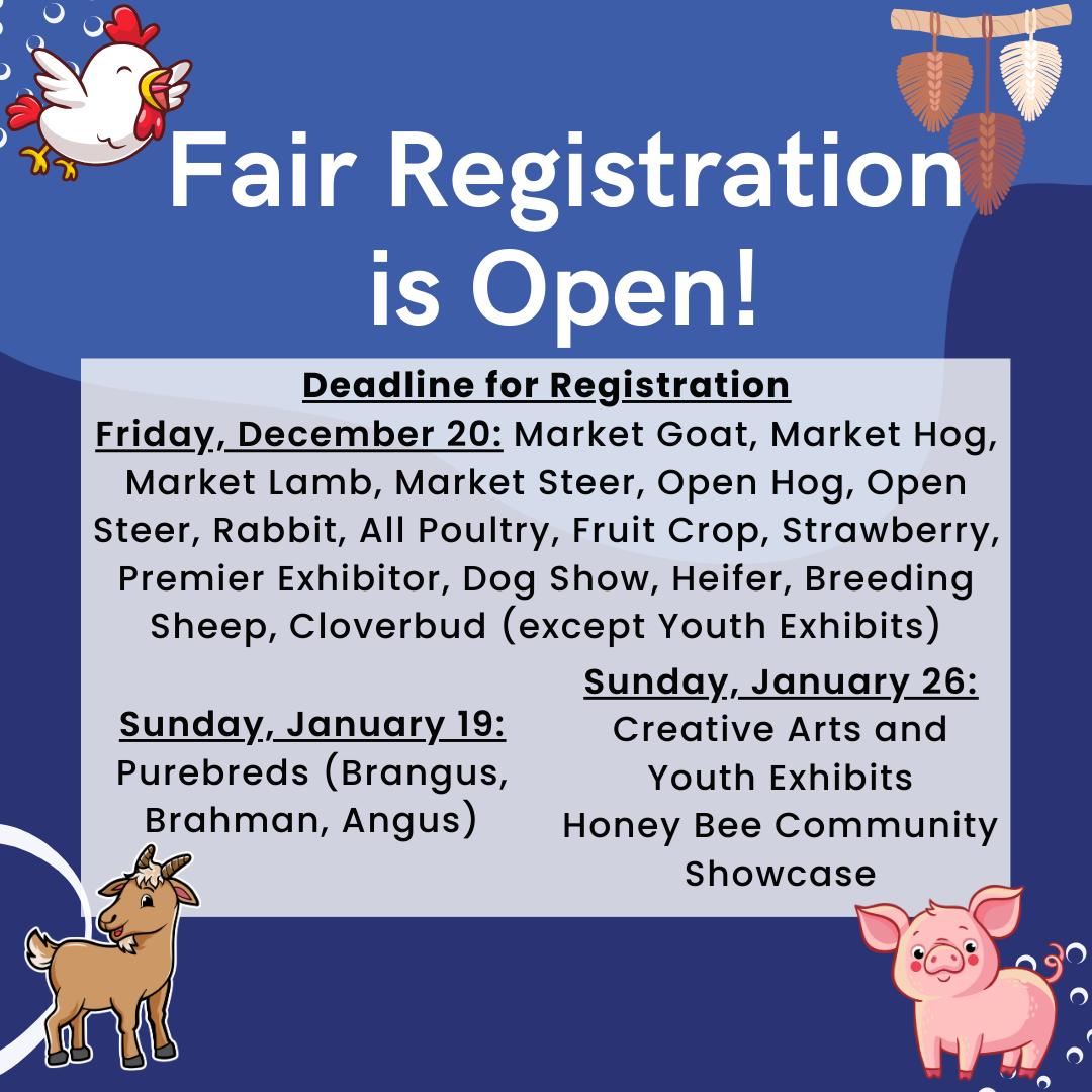 Fair Registration