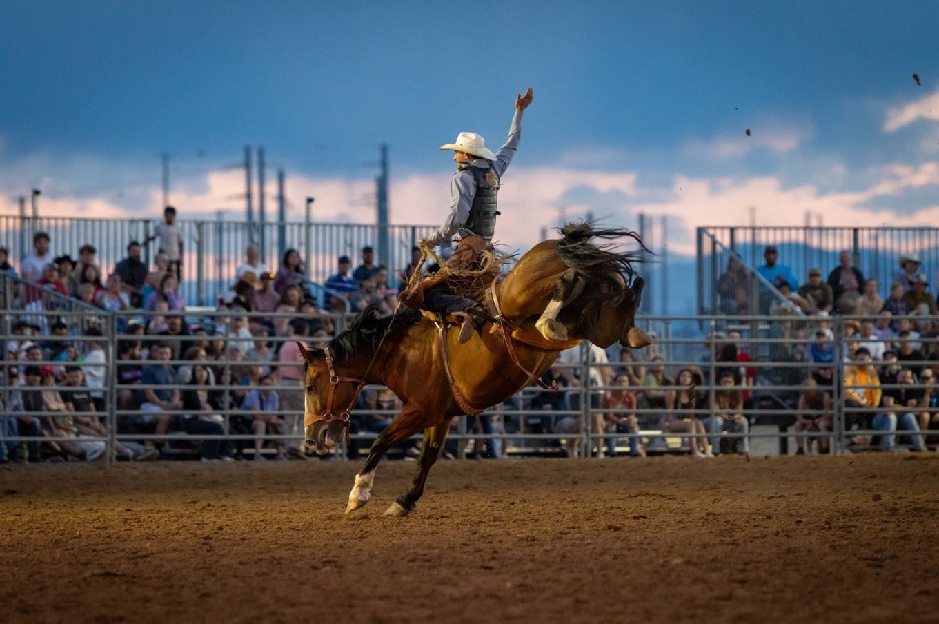Rodeo Arena