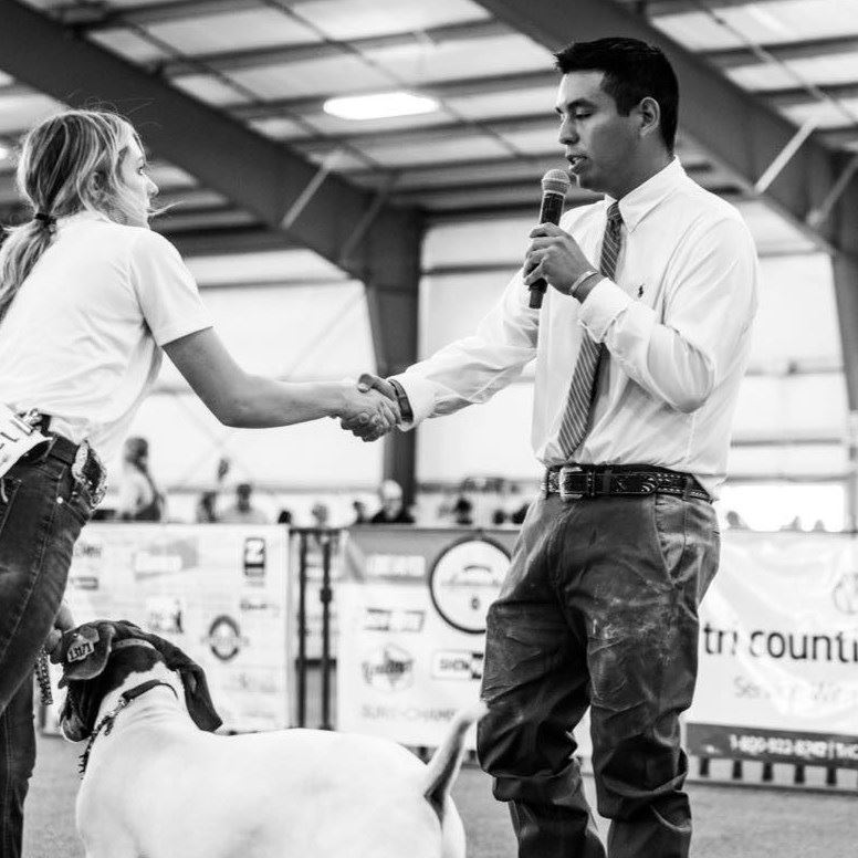 Livestock Show & Contests