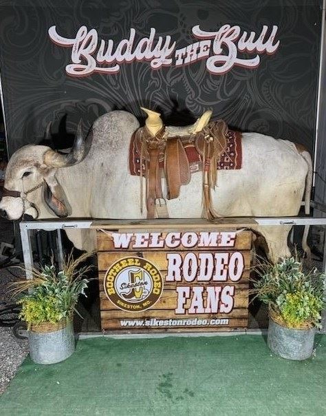 Attractions Animal Act/Shows