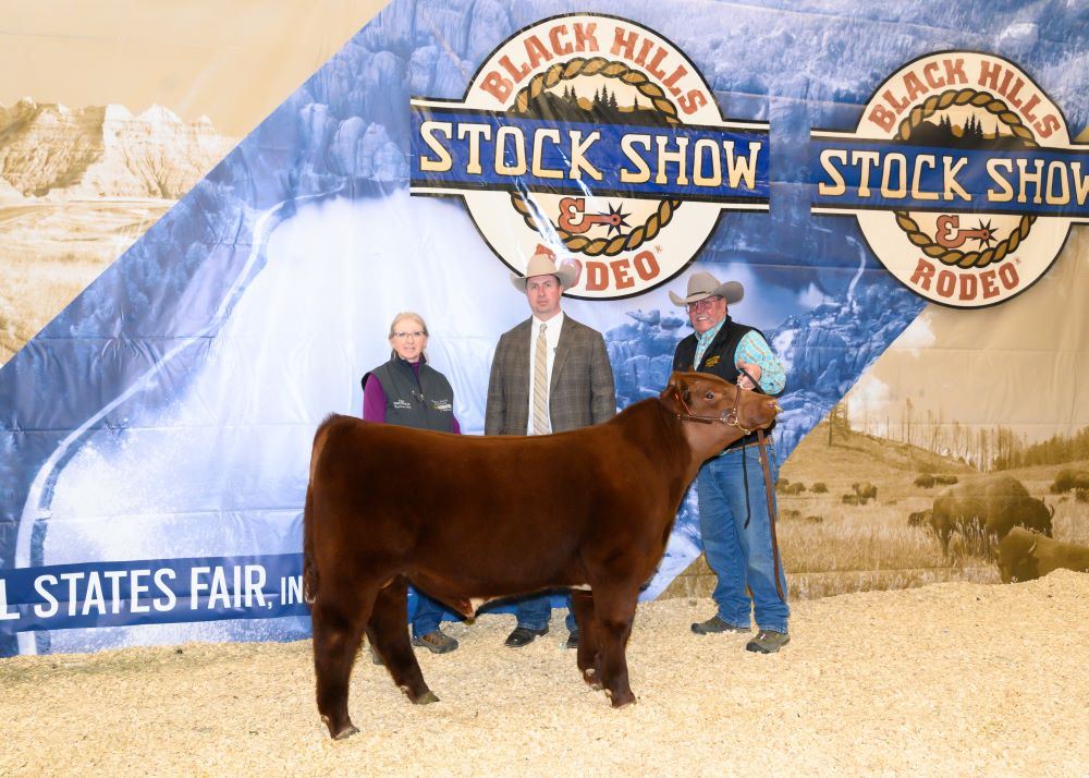 Livestock Shows & Sales