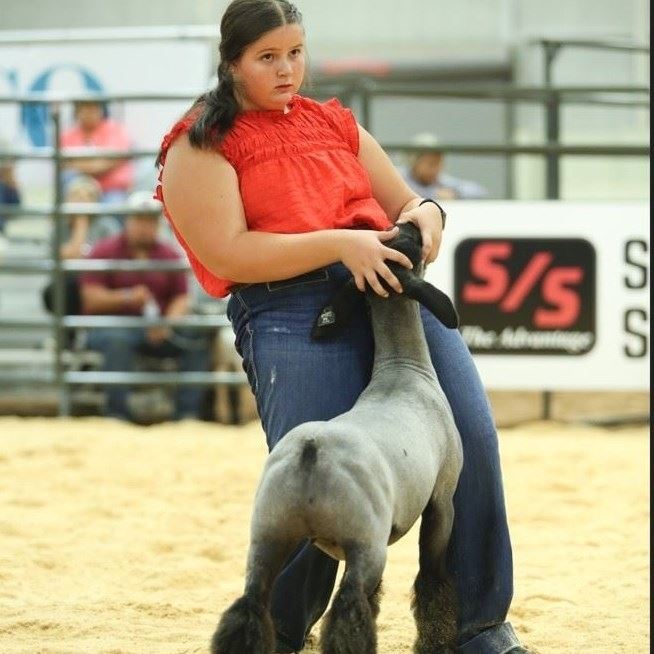 Livestock Show & Contests