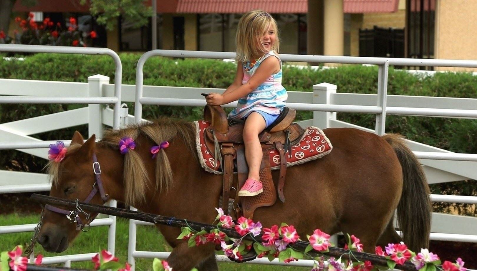 Minnesota Horse Expo