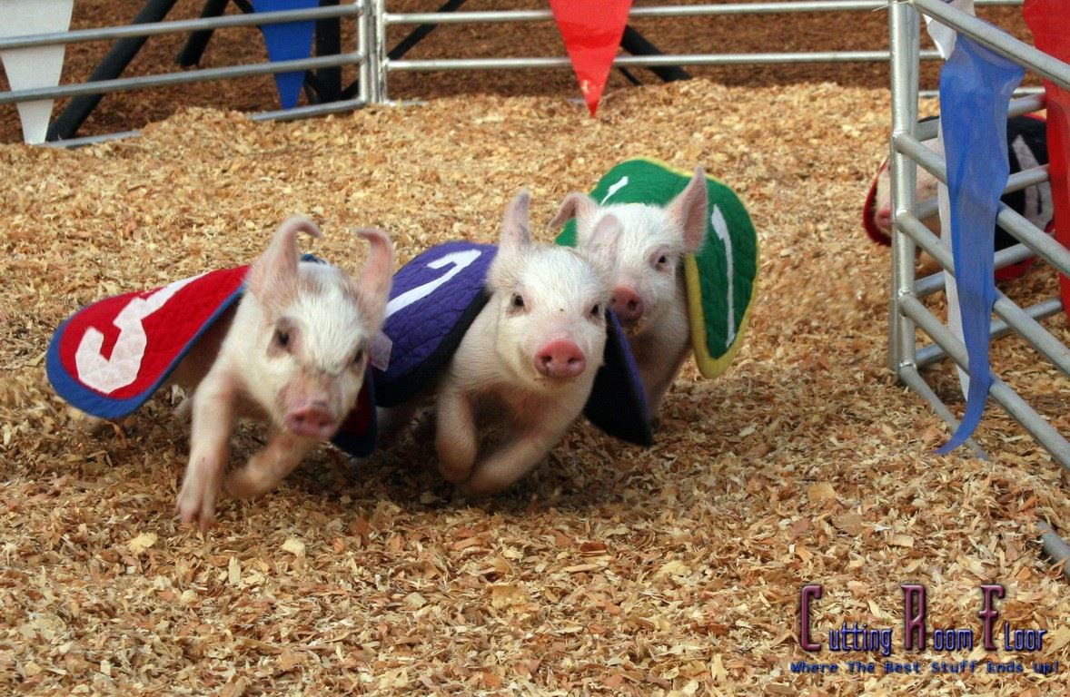 Free Grounds Entertainment