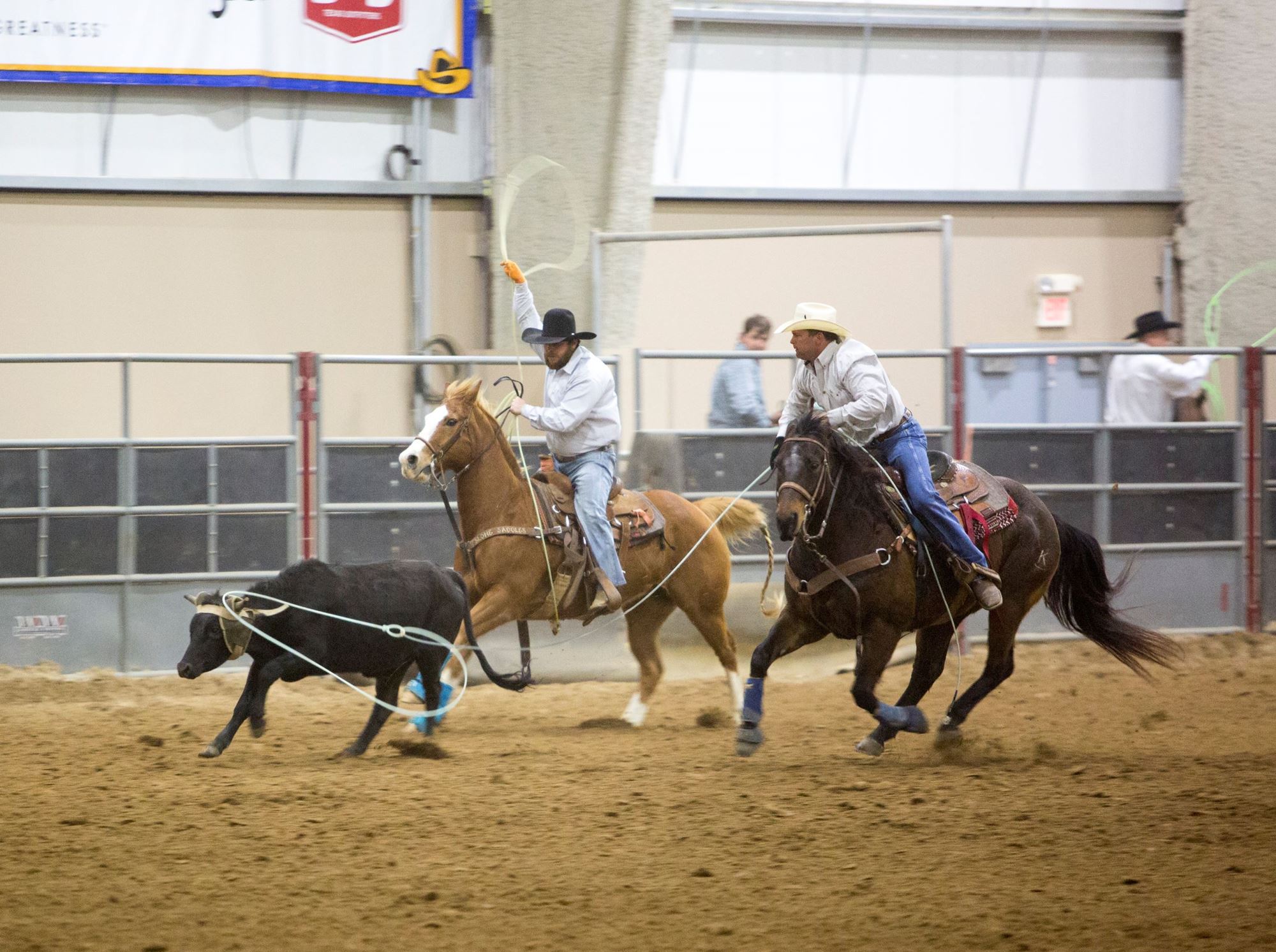 Team Roping