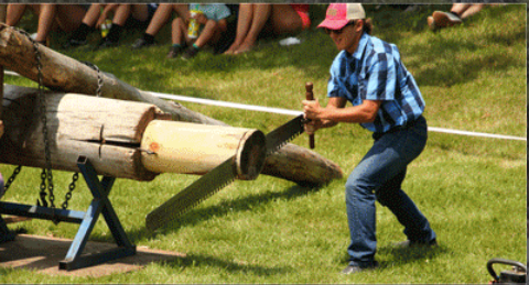 Lumberjack Interactive Camp