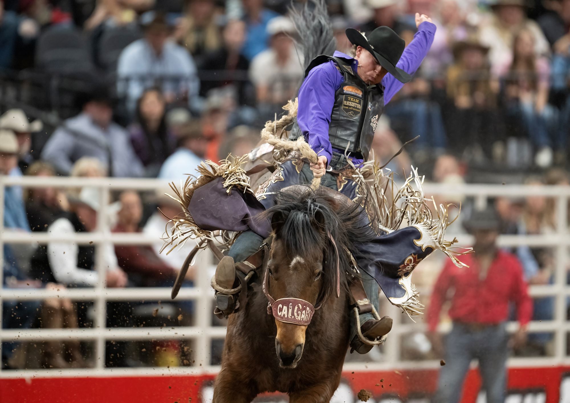 Rodeo Results