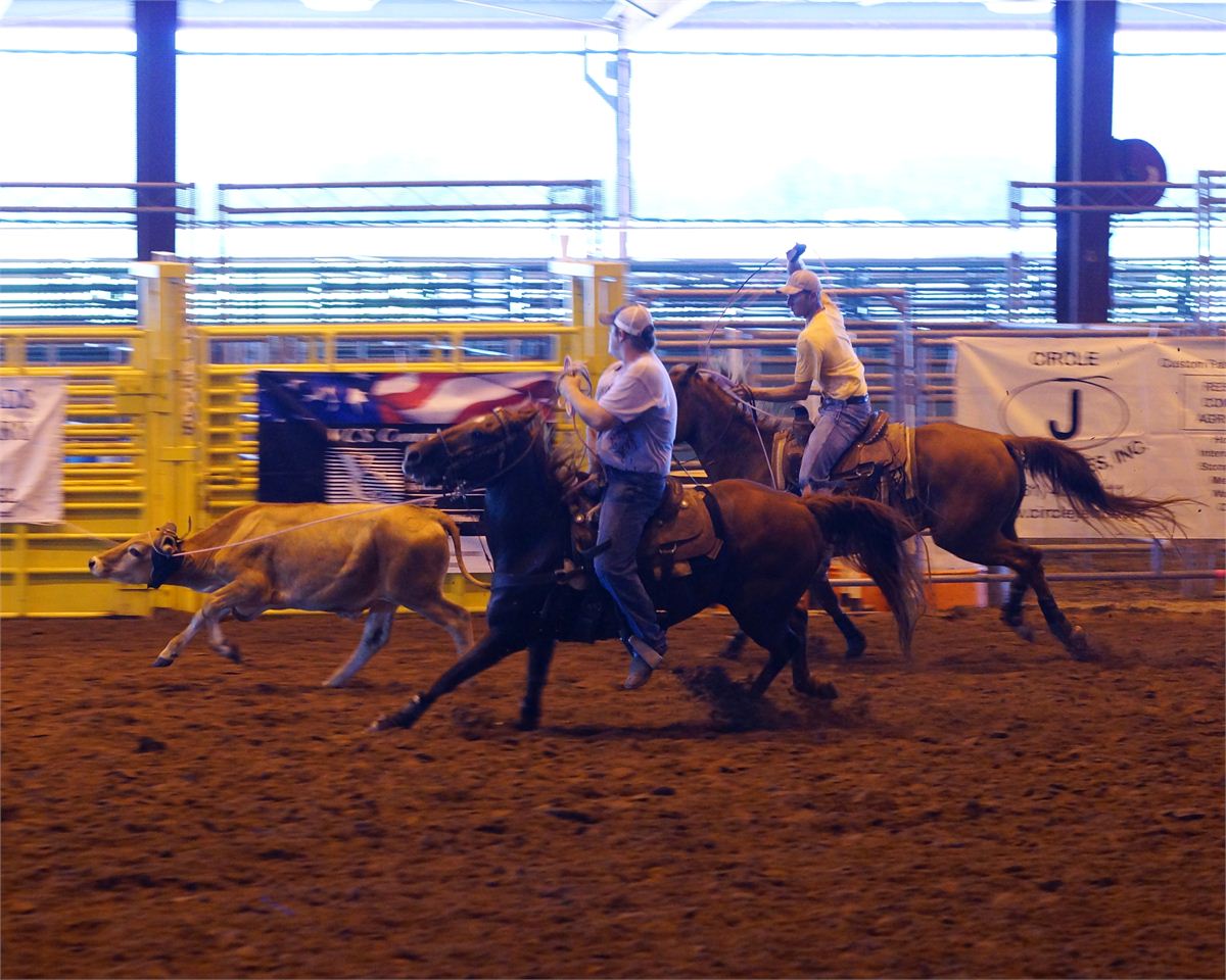 Big Loop Big Money Team Roping