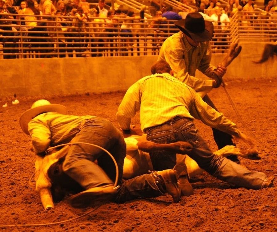 Big Loop Big Money Team Roping