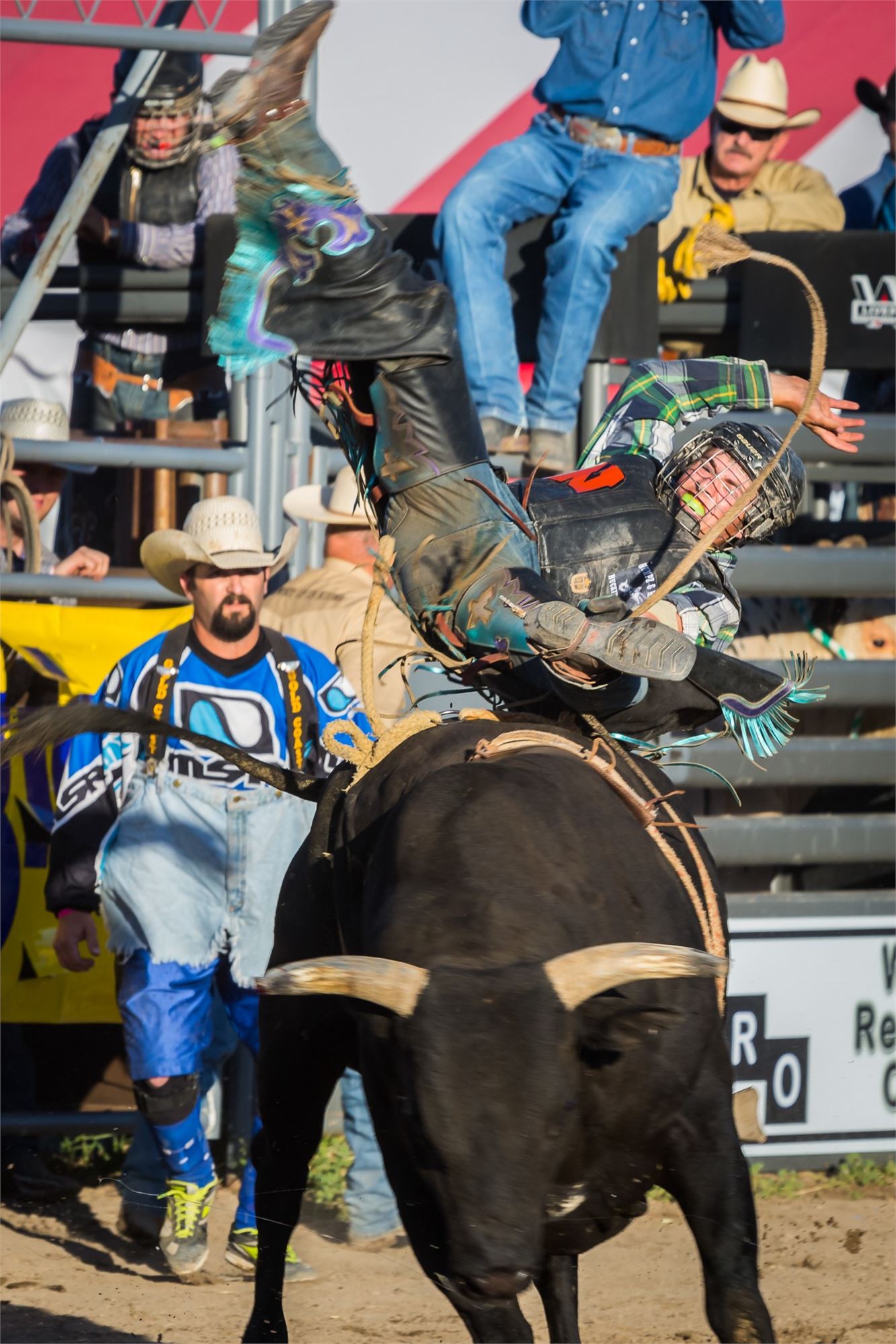 Photo Gallery & Credits