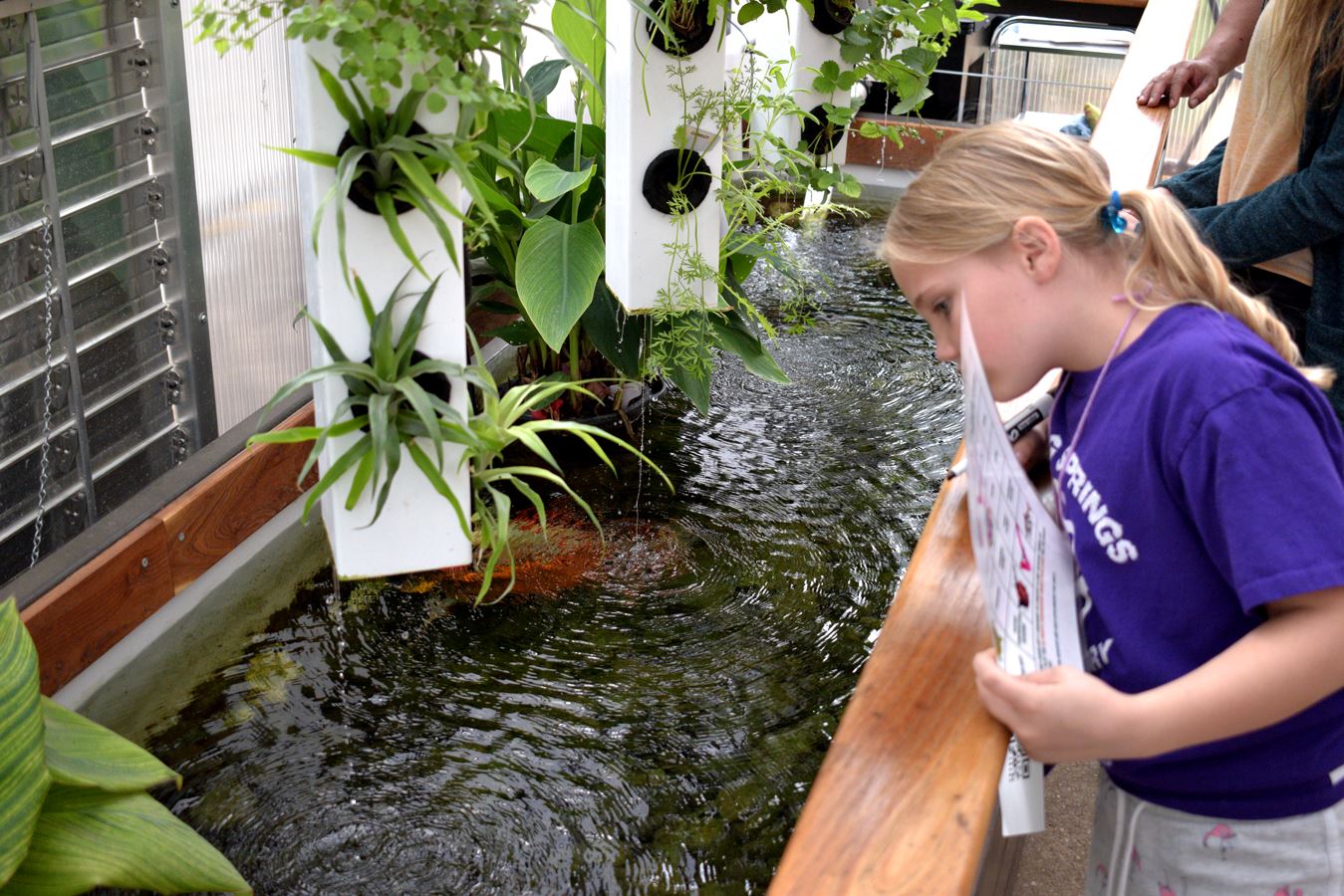 Discover Hands-on Science Fun at the Science Mill