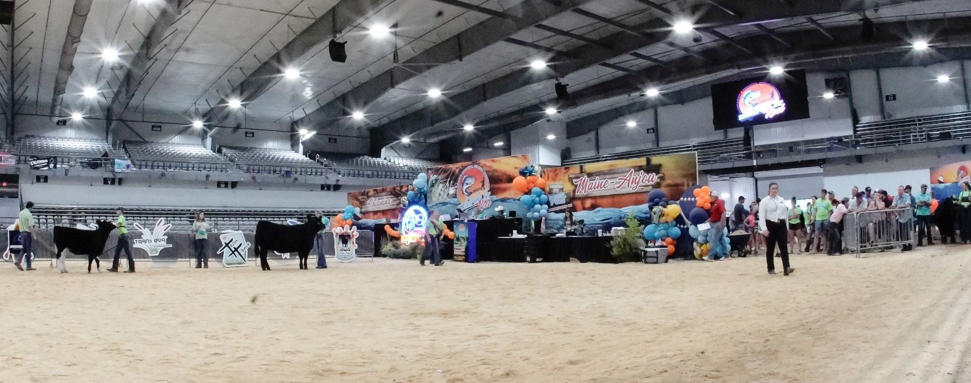 Arena & Barn Facilities