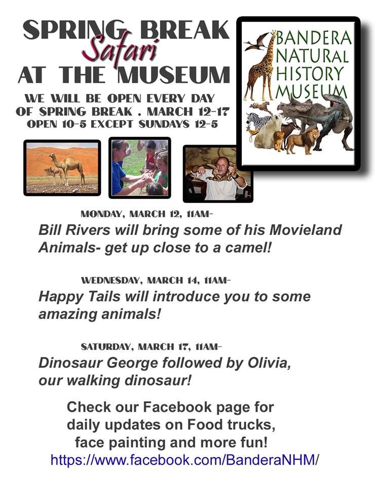 Spring Break Safari at the Museum