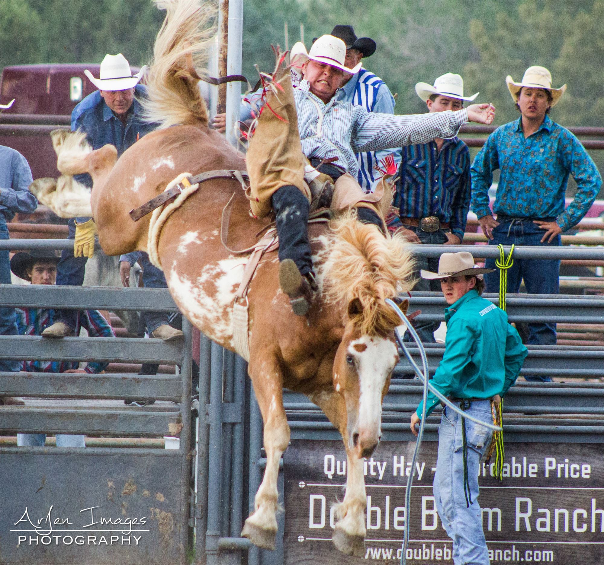 Photo Gallery & Credits