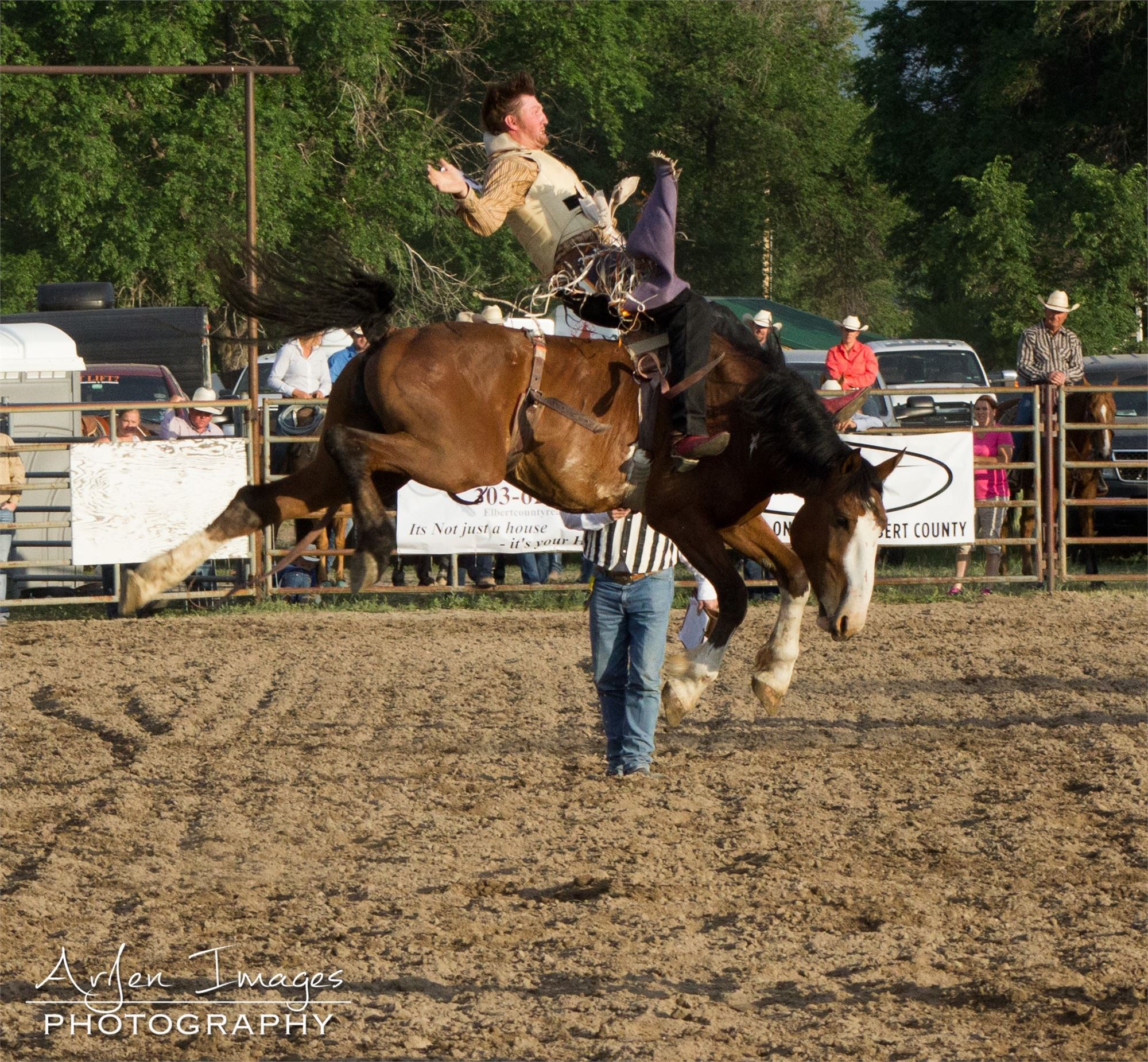 Photo Gallery & Credits