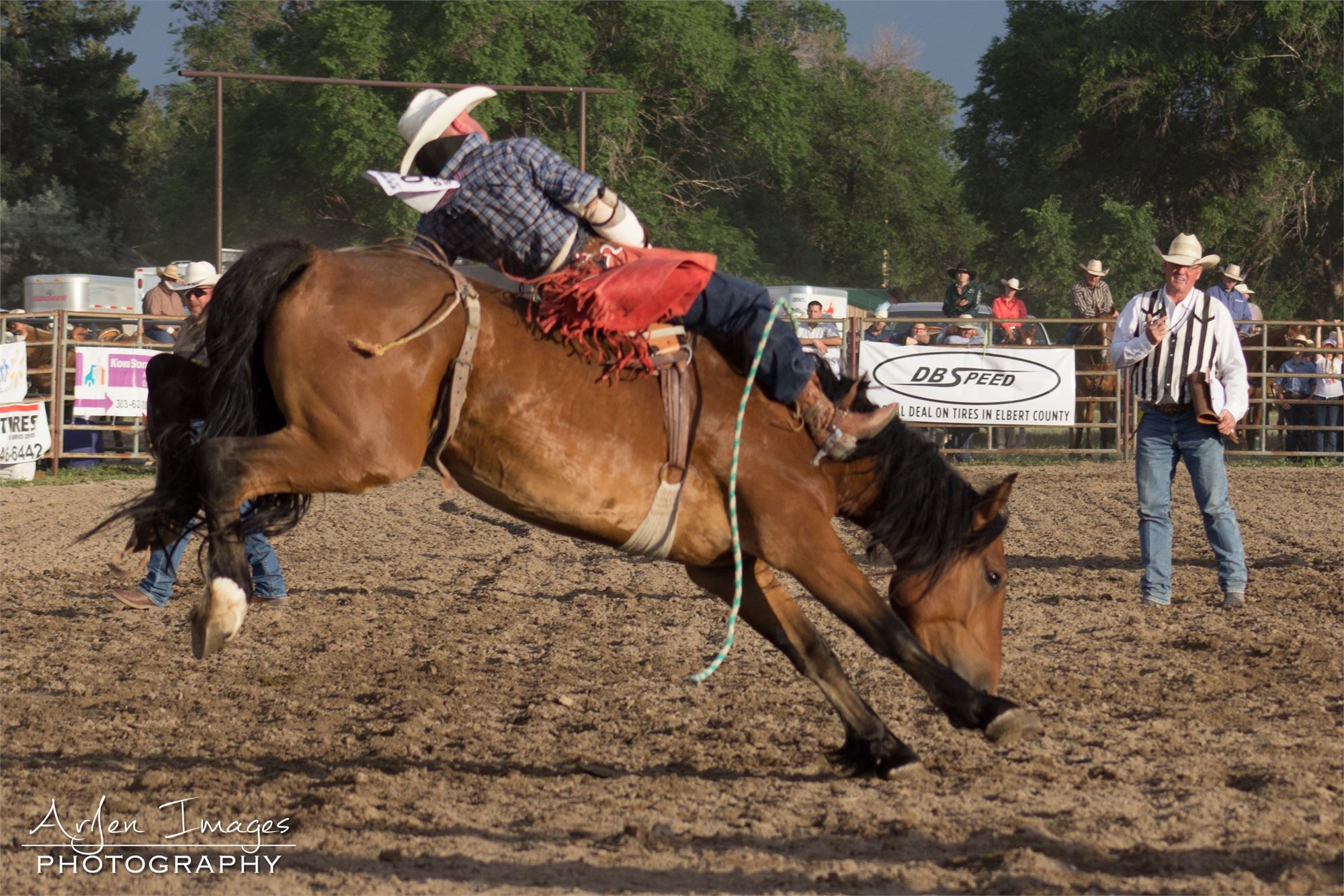 Photo Gallery & Credits