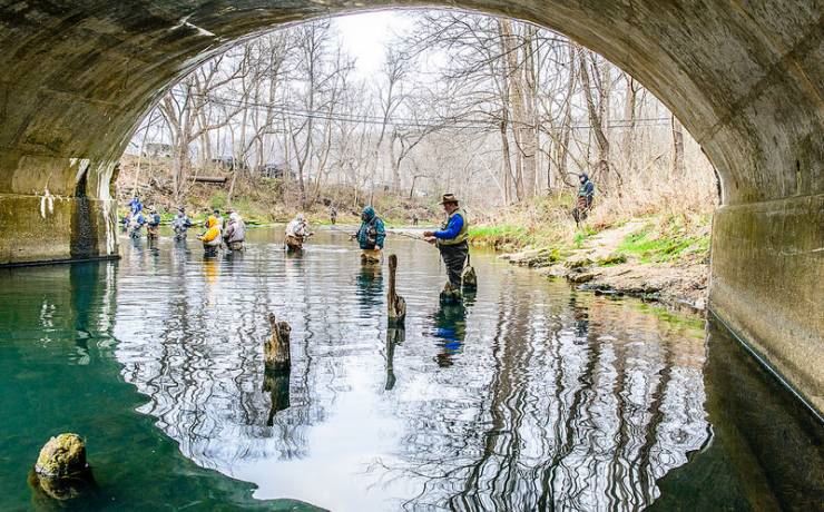 Veterans Fish Free at Bennett Spring State Park