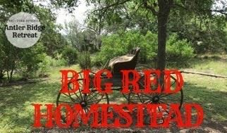 Big Red Homestead