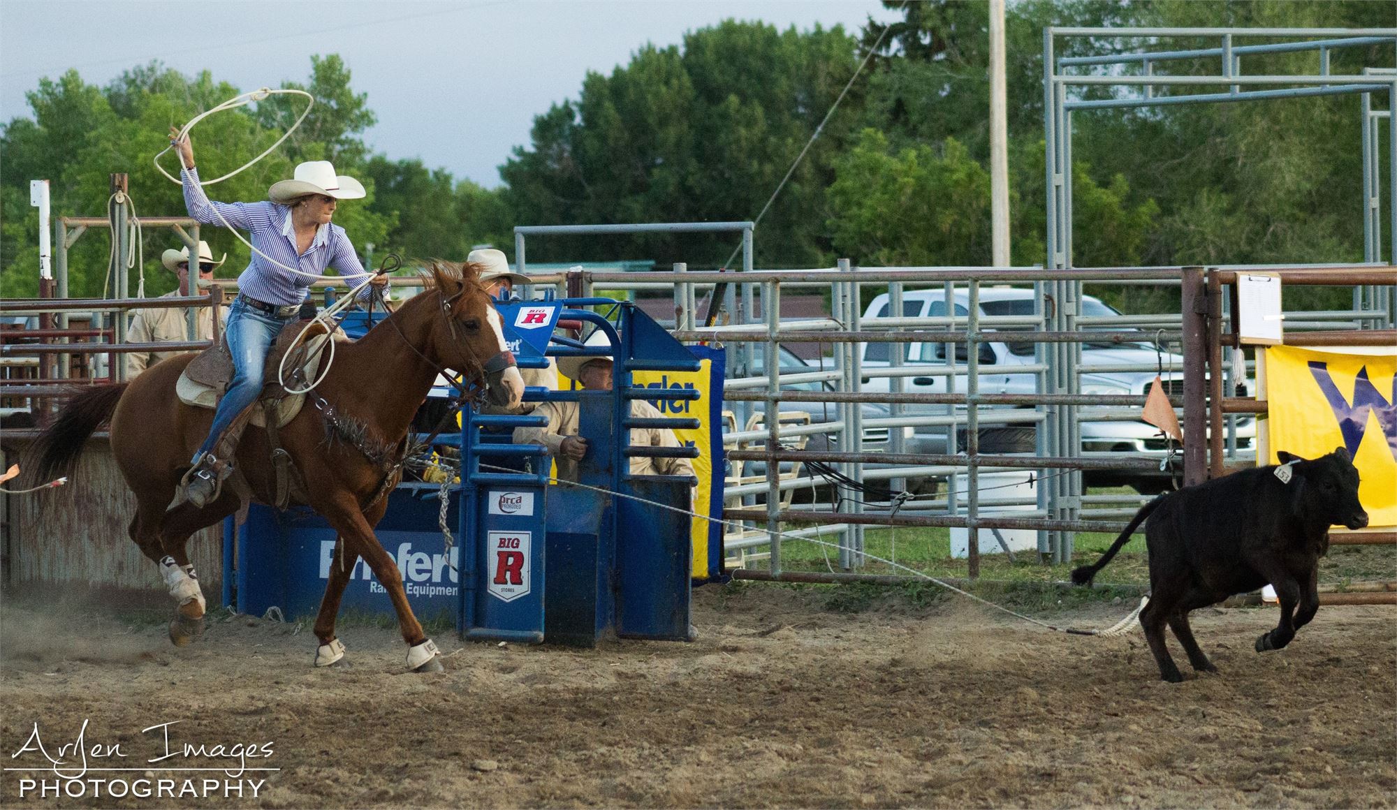 Photo Gallery & Credits