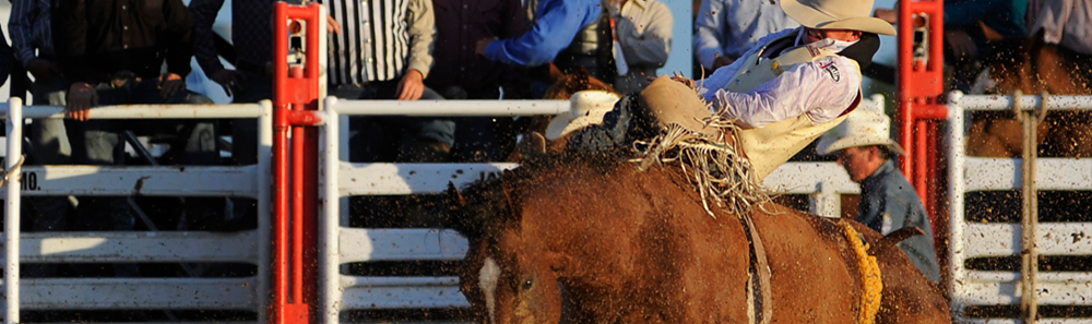Smith Pro Rodeo