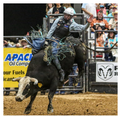 Rodeo