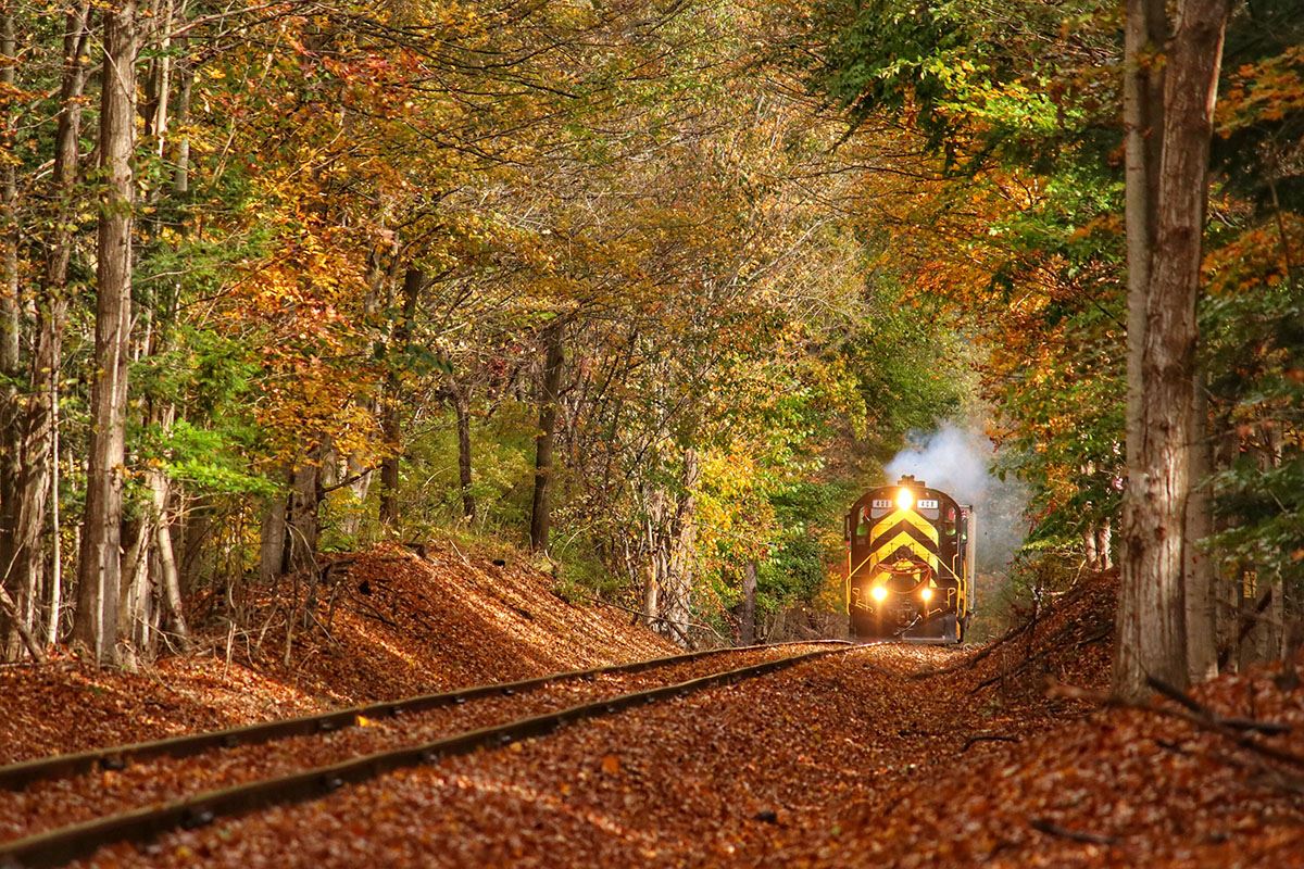 The Gallery at Kodak Center in Rochester, NY