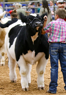 Tri-State Fair & Rodeo, Amarillo, Texas