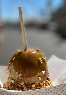 Tri-State Fair & Rodeo, Amarillo, Texas