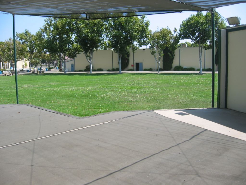 Outdoor Stage & Grass Areas