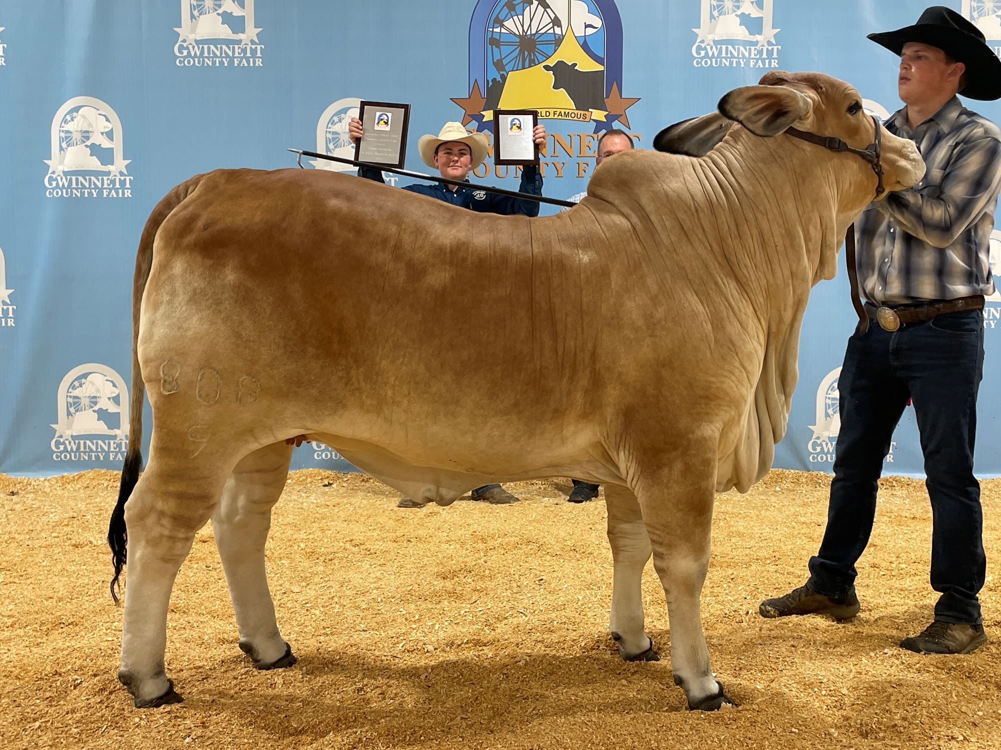 Livestock Information