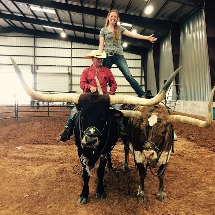 Cross T Ranch "Have Steers Will Travel"