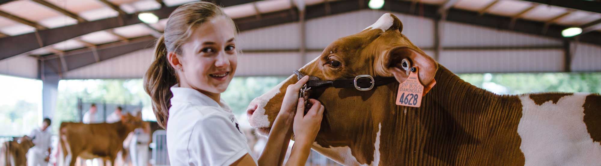 Junior Open and 4-H Central Region Dairy Cattle Show